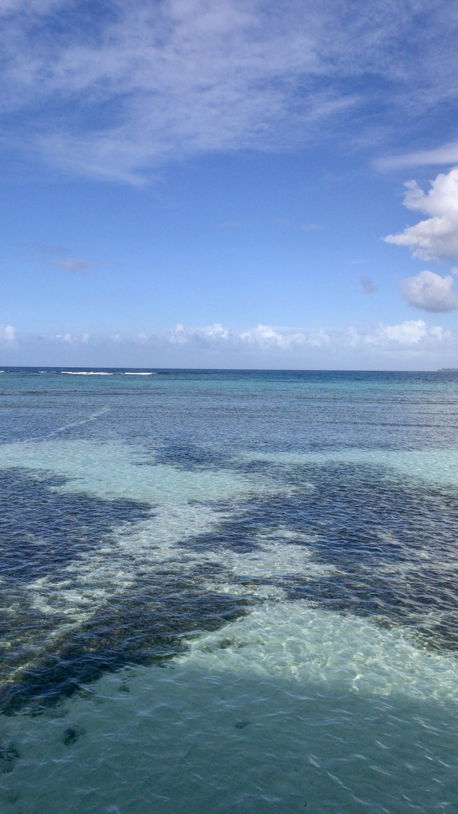 Glass Bottom Boat Tour Tobago: Explore Bucco Reef, Nylon Pool & No Man ...