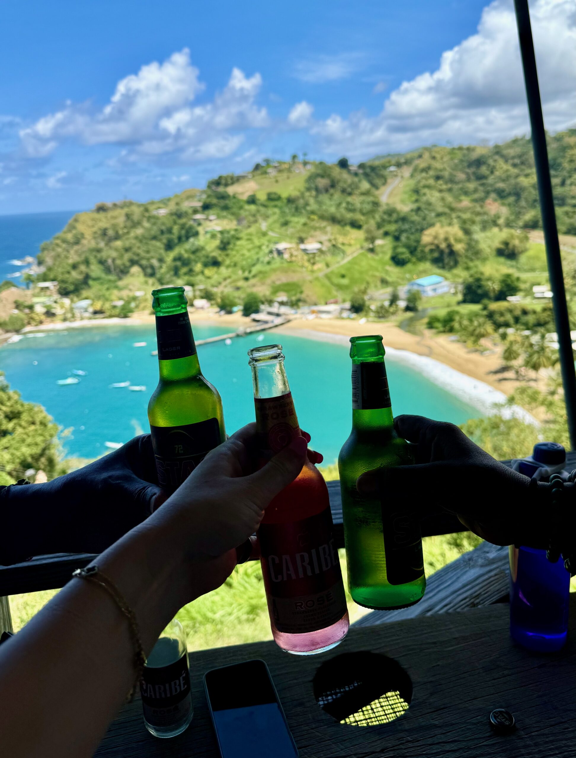 The Best Bars in Tobago (With the Best Views) - Cardinal North Studio