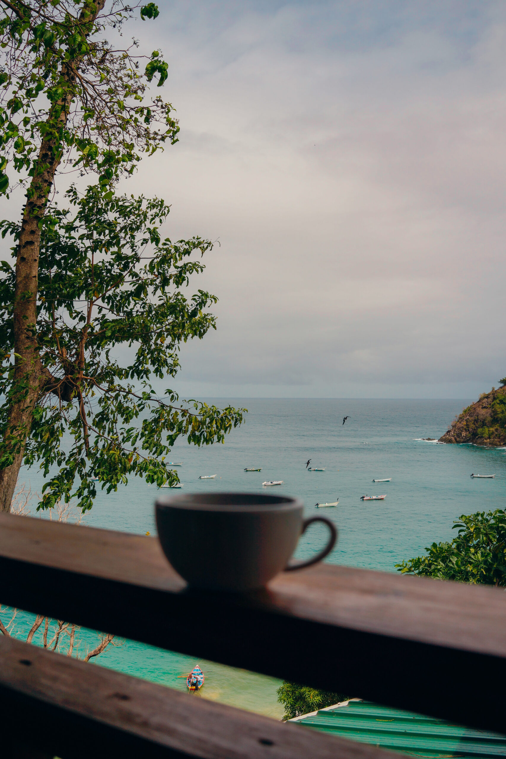 Where to Eat Breakfast in Castara, Tobago: Caribbean Kitchen Review ...