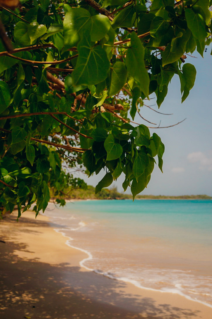 Buccoo Beach, Tobago: The Ultimate Guide - cardinal north studio